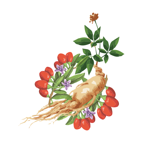 Herbal tea for your every need – ele